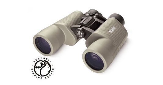 Prismaticos Bushnell NatureView 8x40 Backyard Birder
